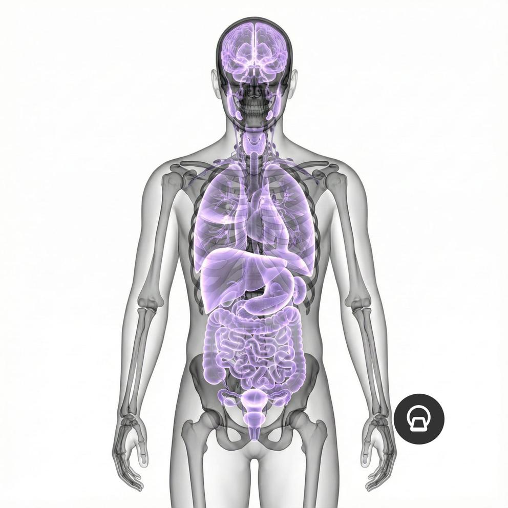 Magnetröntgen Eriksborg Västerås – Röntgen utan remiss | Testmottagningen